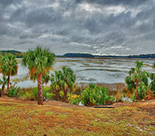 Login - Savannah State University