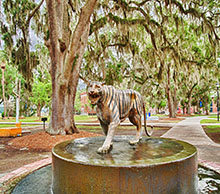 Login - Savannah State University