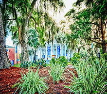 Login - Savannah State University