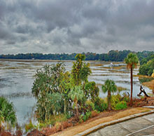Login - Savannah State University